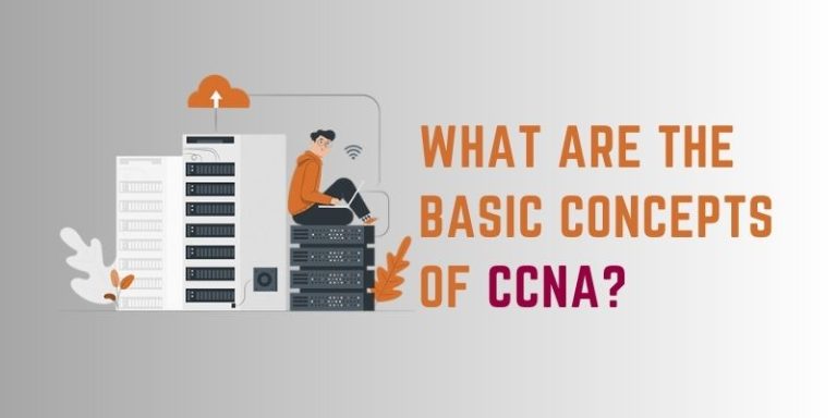 What are the Basic Concepts of CCNA?